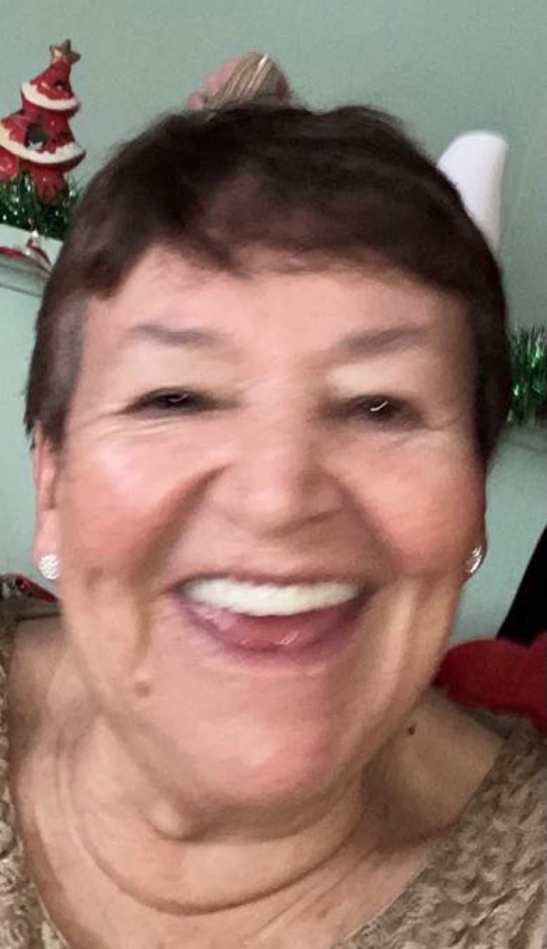 Miramichi's Funeral Announcements Dianne Peter Paul - October 31 2024